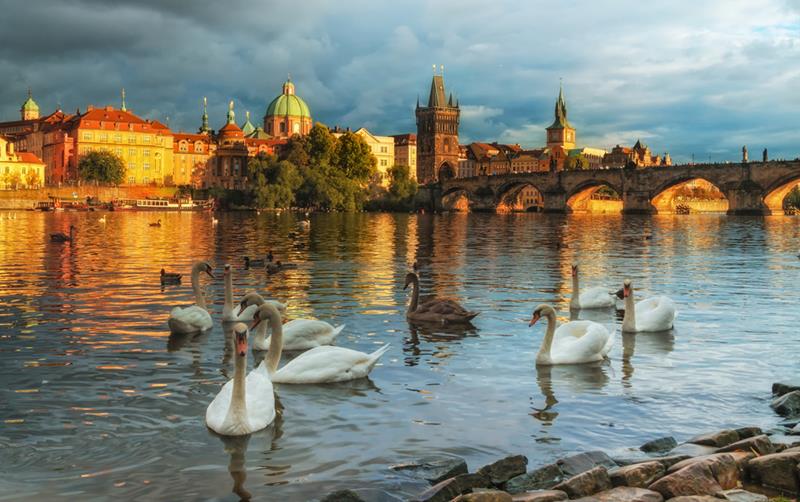 Grand City Tour - The Best of Prague