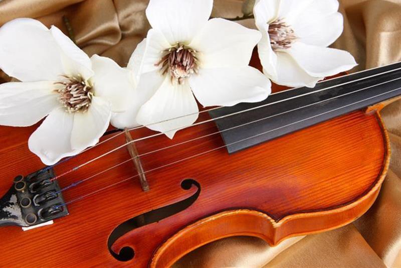 Gala Concert in Lichtenstein Palace